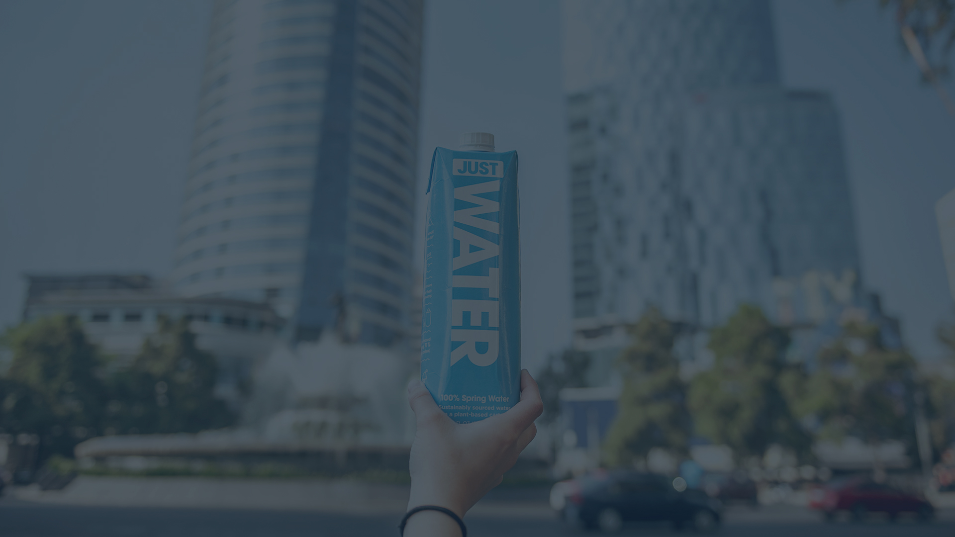 TwoLines – Two Lines